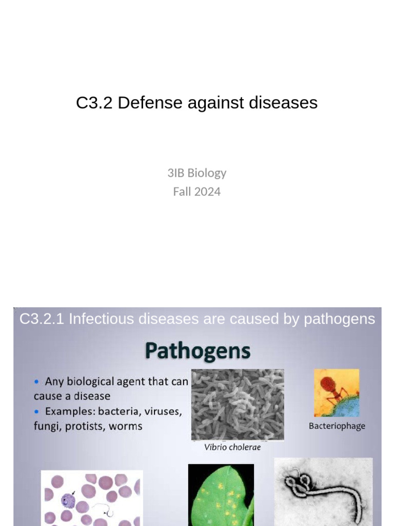 C3.2 Defence Against Disease - 291124 | PDF | Immune System | Bacteria