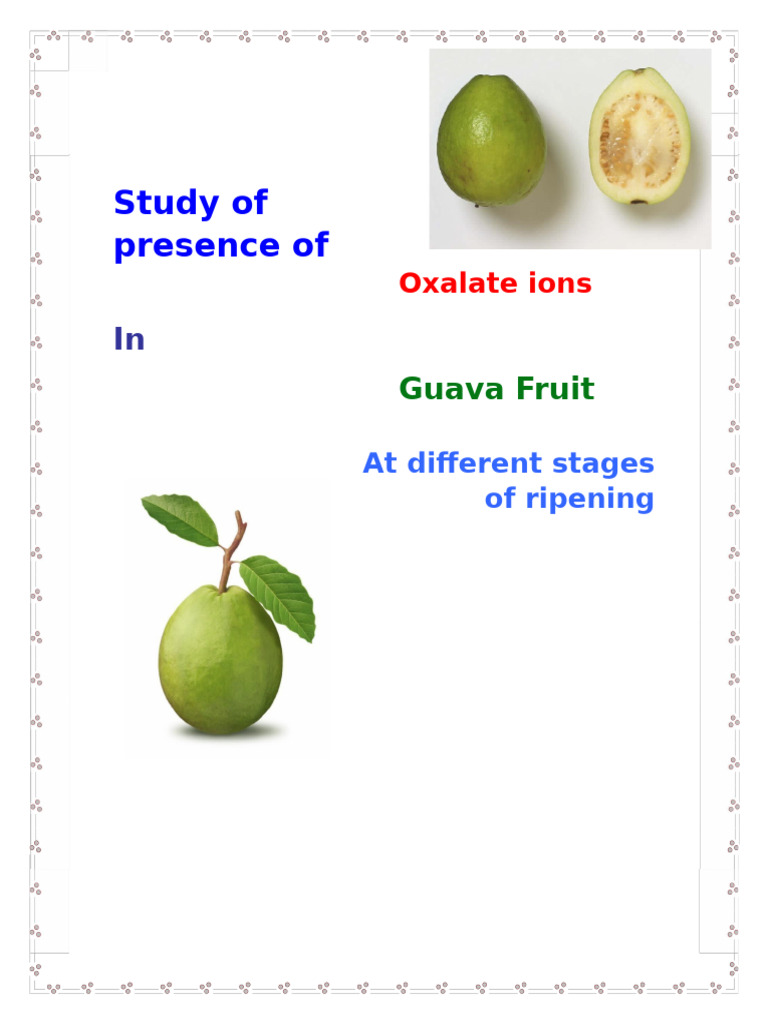 Oxalate Ion Analysis in Guava Fruit | PDF | Titration | Chemistry