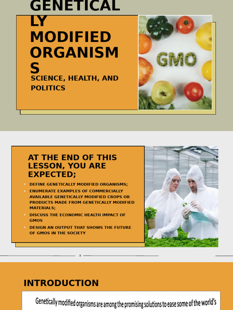 Genetically Modified Organisms | PDF | Genetically Modified Organism ...