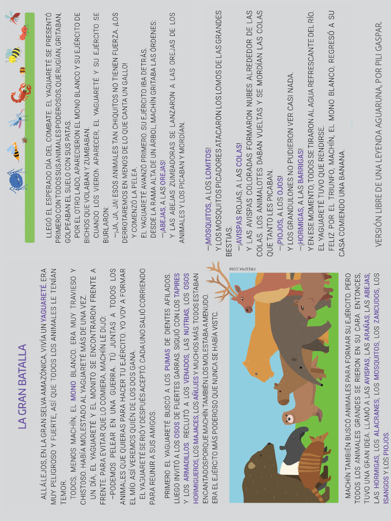 INTENS ACT_20241210_122228_0000 | PDF