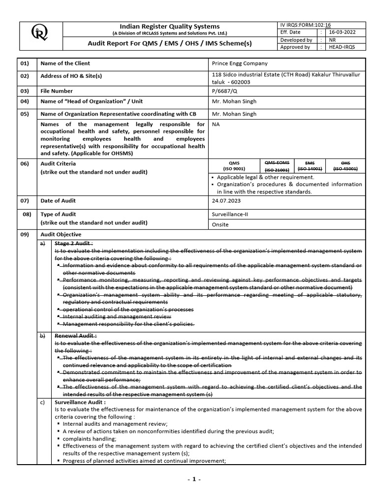 102-Audit Report | PDF | Audit | Risk