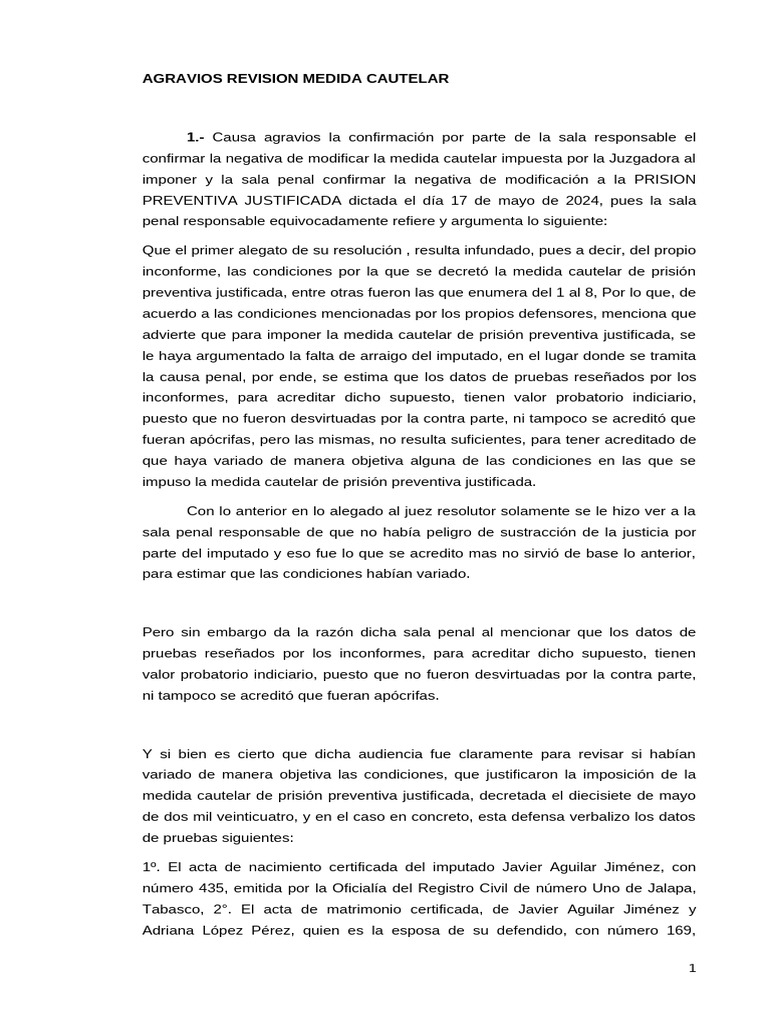 Agravios en Revisión de Prisión Preventiva | PDF | Mandato | Ley común