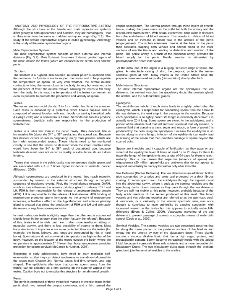 Trans - Template - Lecture v1.4 | PDF | Testicle | Genitourinary System