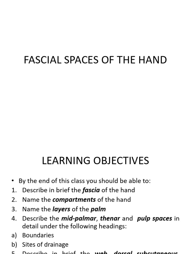 Fascial Spaces of the Hand Explained | PDF | Hand | Anatomical Terms Of ...