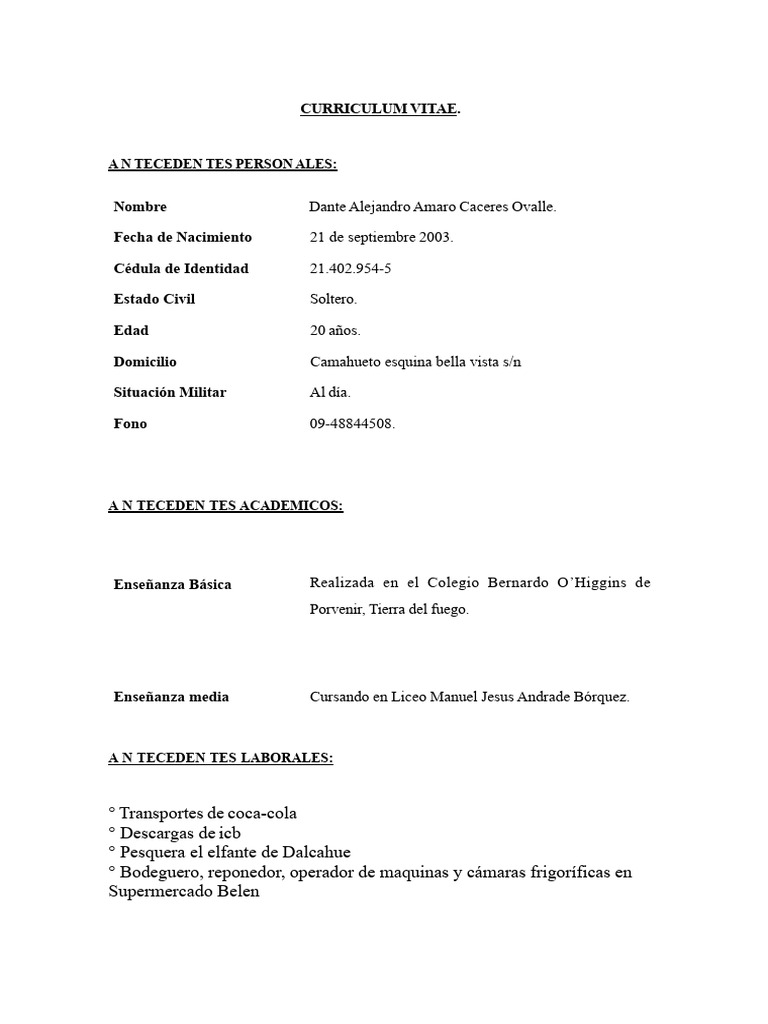 Curriculum Dante | PDF