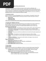 Rock Cycle Worksheet for Students | PDF | Rock (Geology) | Sedimentary Rock