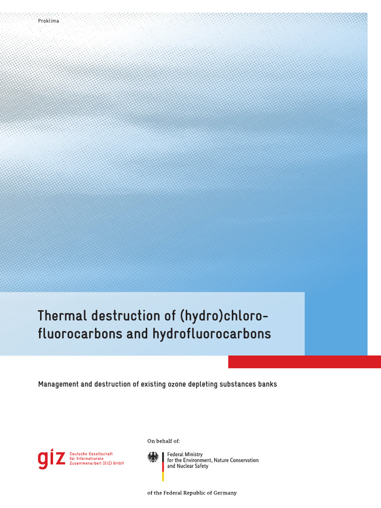 Giz2020 0013en Ods Thermal Destruction | PDF | Chlorofluorocarbon | Gases