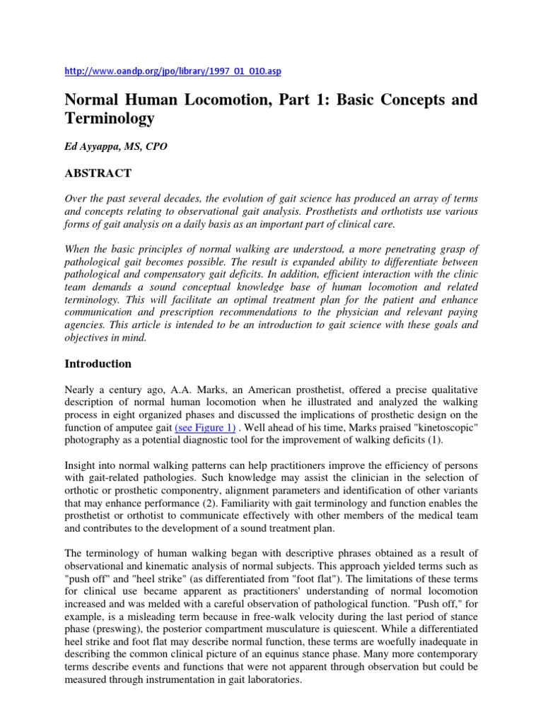 Normal Human Locomotion Part 1 and 2 Basic Concepts and Terminology 1 ...