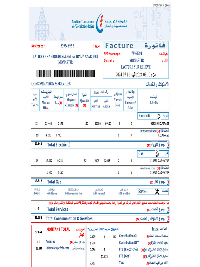 STEG - Facture - Juillet 2024 | PDF