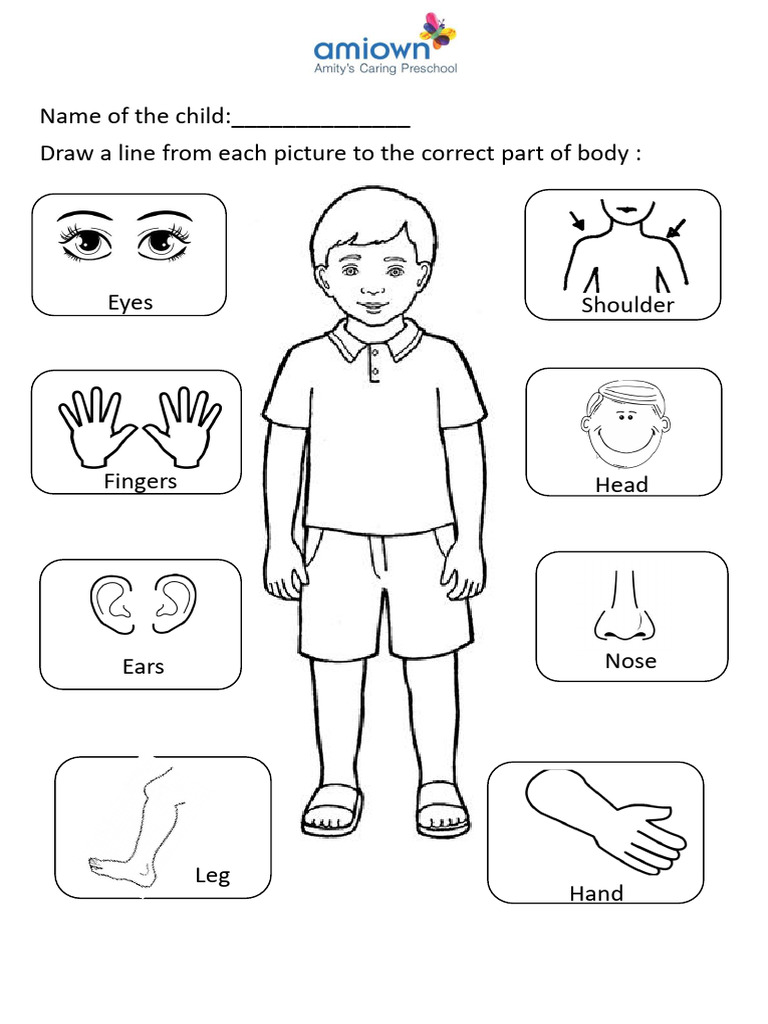 Worksheet On Bodyparts Pdf