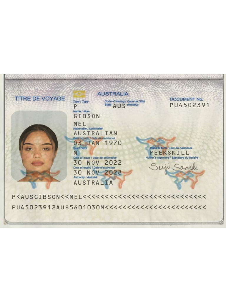 Passport | PDF