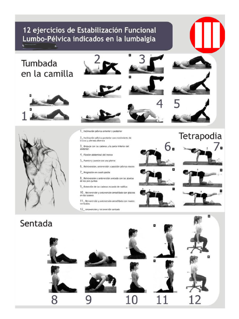 Ejercicios para Higiene de Columna | PDF