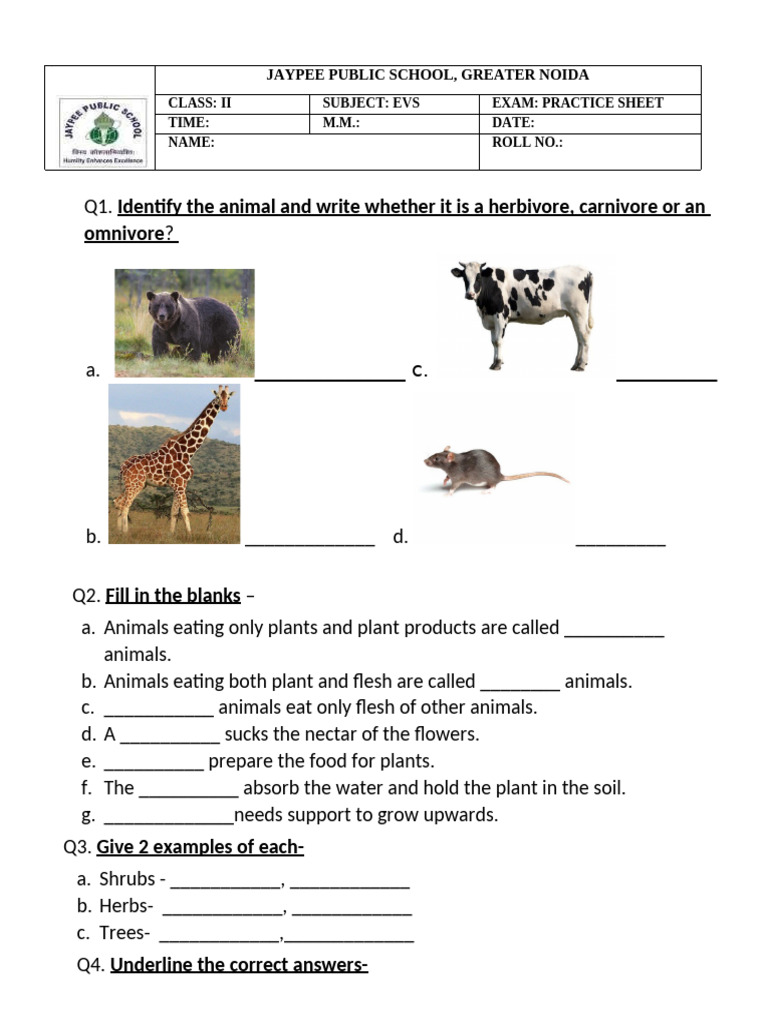 WORKSHEET EVS copy | PDF