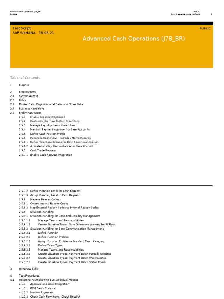 Advanced Cash Operations Testing Guide | PDF | Accounts Payable | Cash