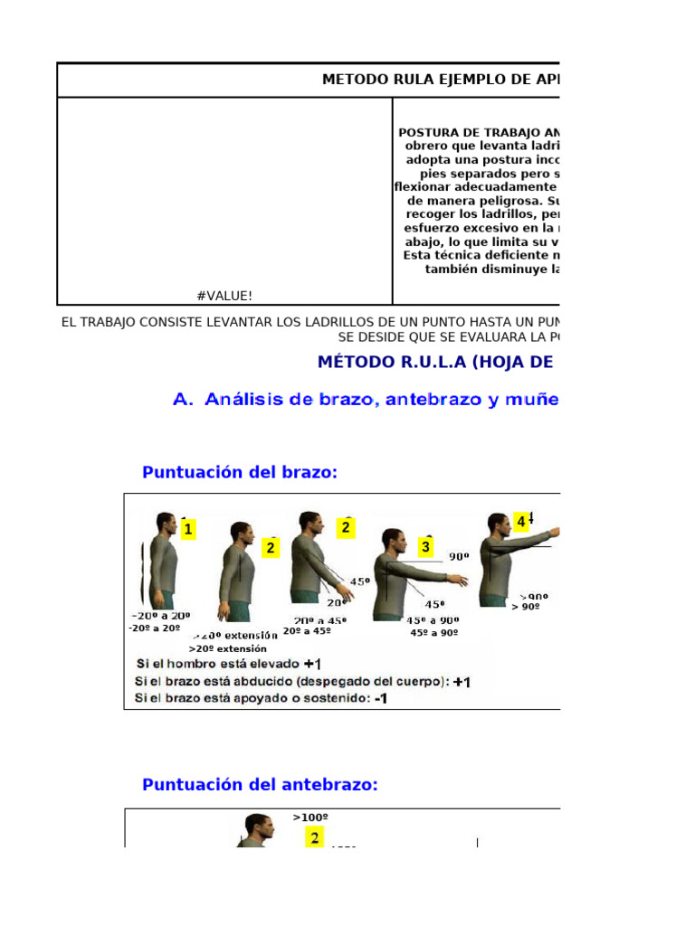 TRABAJO DEL METODO RULA | PDF