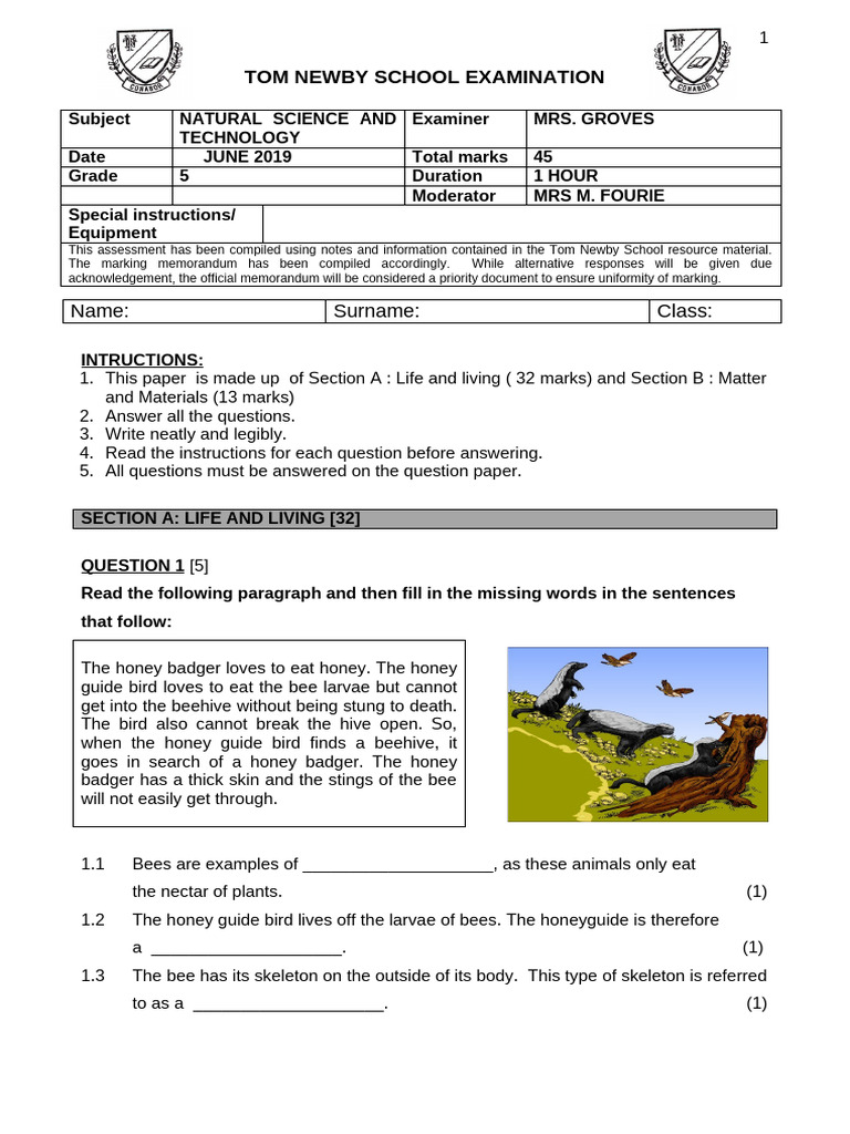 Grade 5 NSTech Exam June 2019 GDE Approved | PDF | Metals | Honey