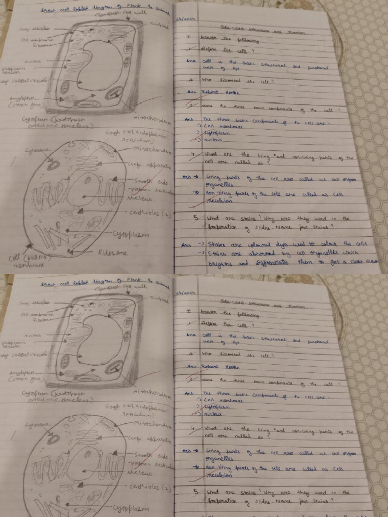 Cell Structures and Functions Notes | PDF