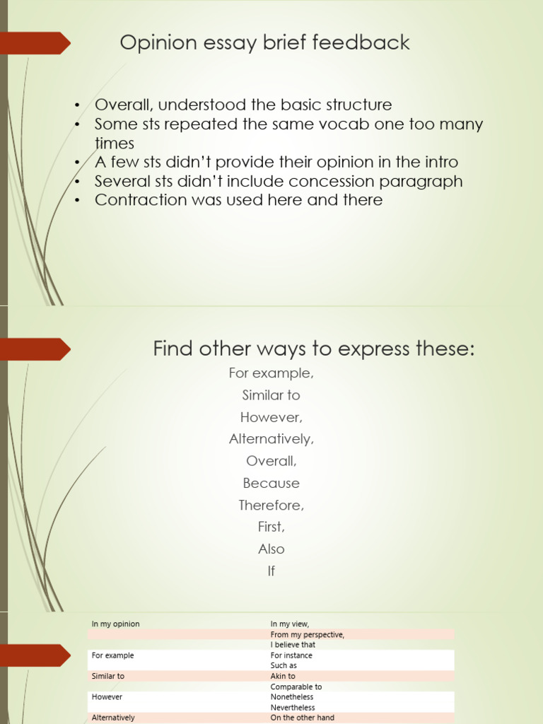 Opinion Essay Feedback & Vocabulary Tips | PDF