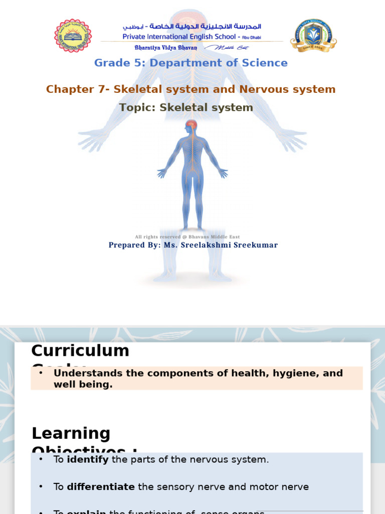 Nervous System PPT-com | PDF