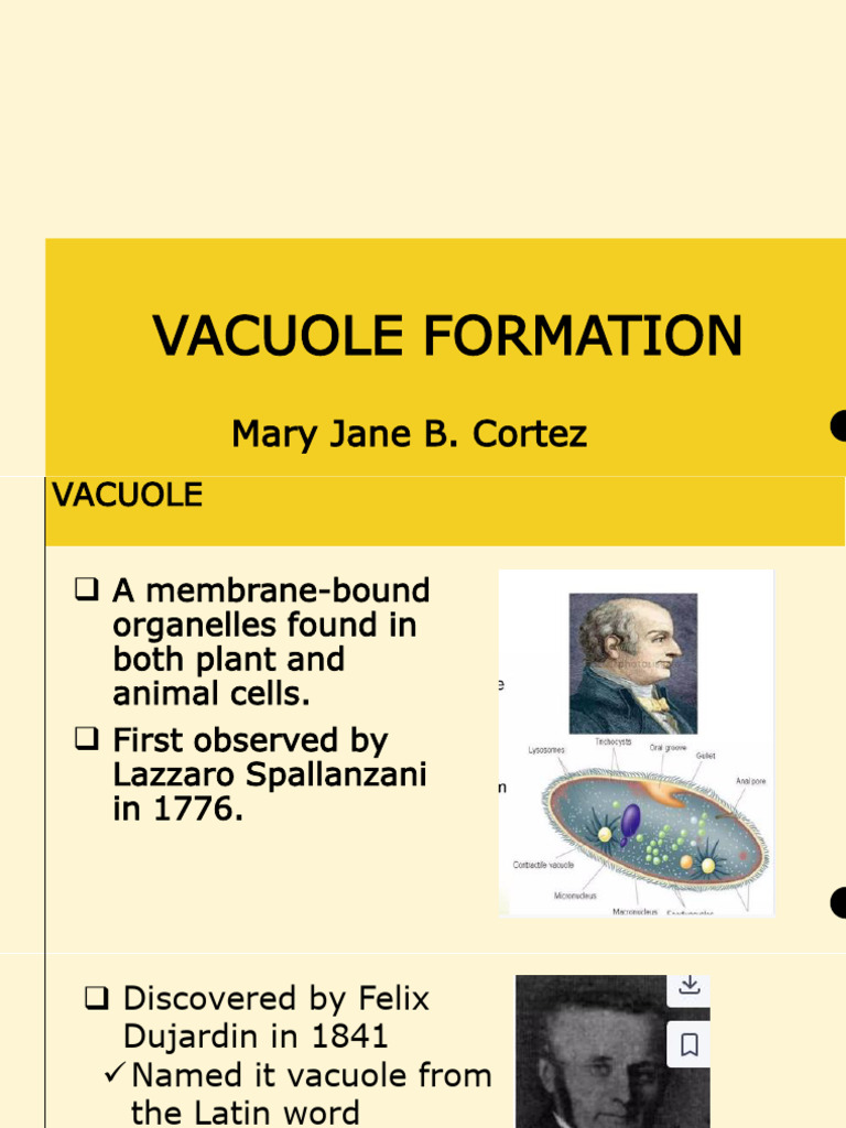 Vacuole Formation and Functions | PDF