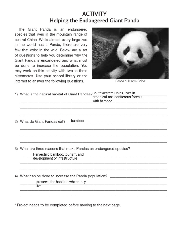 Unit 6 Activity Helping The Endangered Giant Panda | PDF