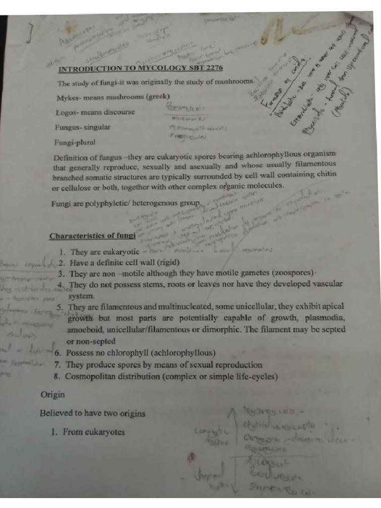 Mycology Notes | PDF