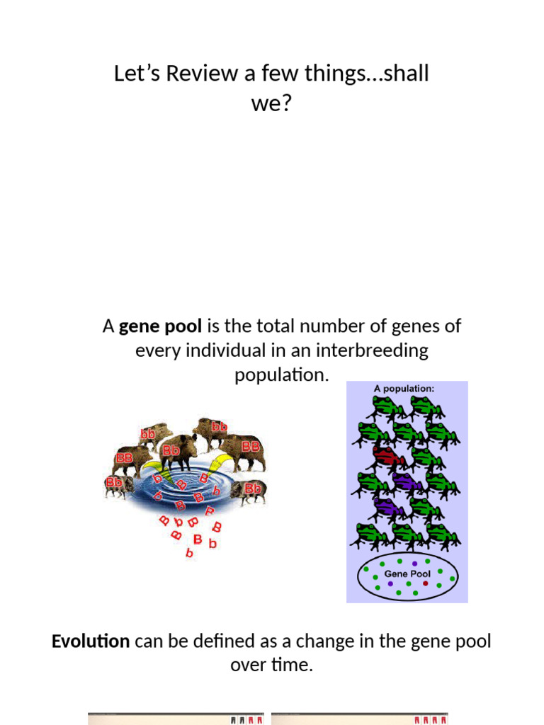 Mech of Evolution Examples | PDF | Evolution | Gene