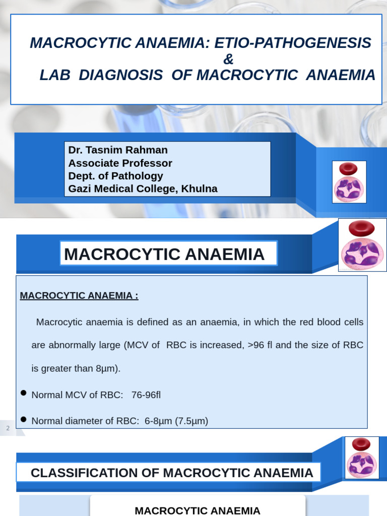 Macrocytic Anemia Presentation | PDF | Anemia | Vitamin B12
