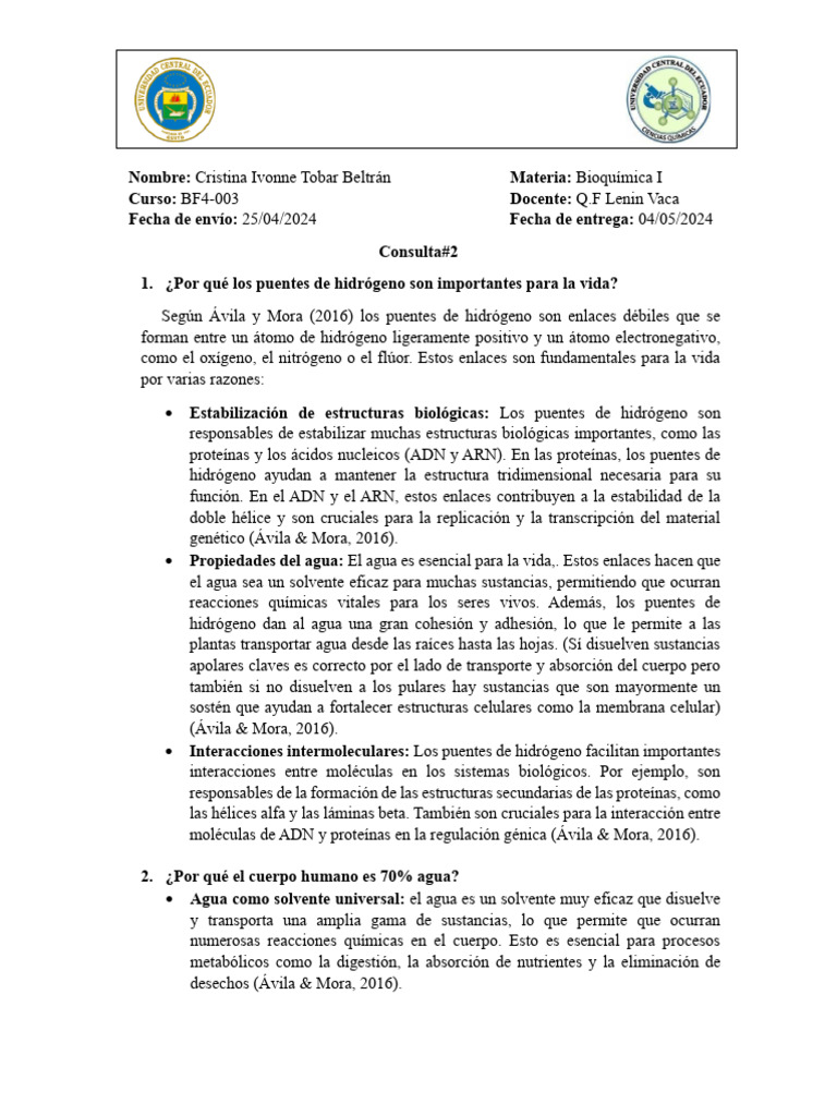 Bioqui 2 | PDF | Carbohidratos | Enlace de hidrógeno