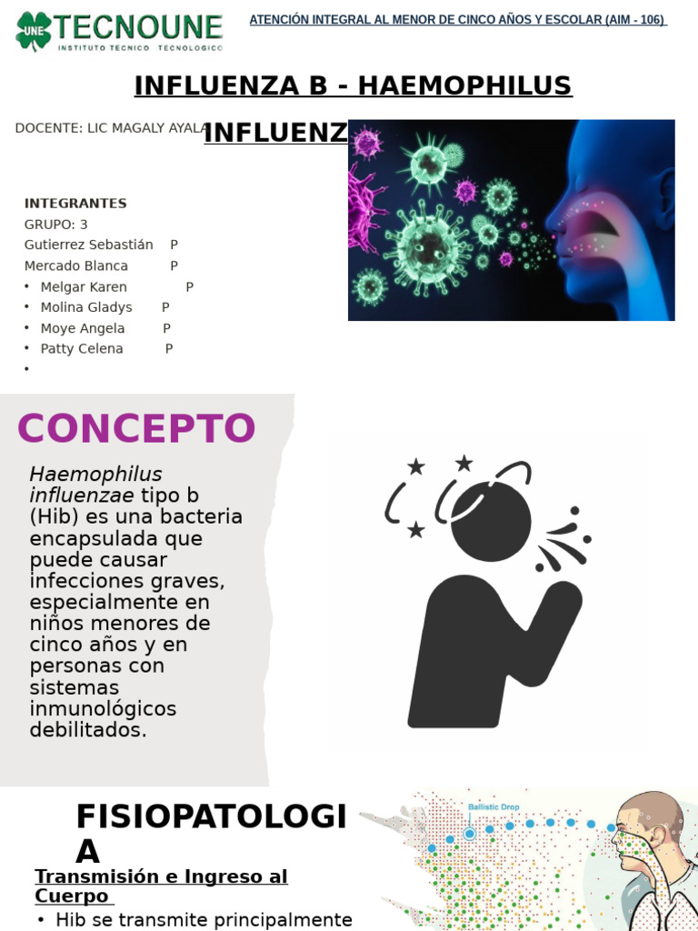 Influenza B - Grupo 3 | PDF | Influenza | Inflamación