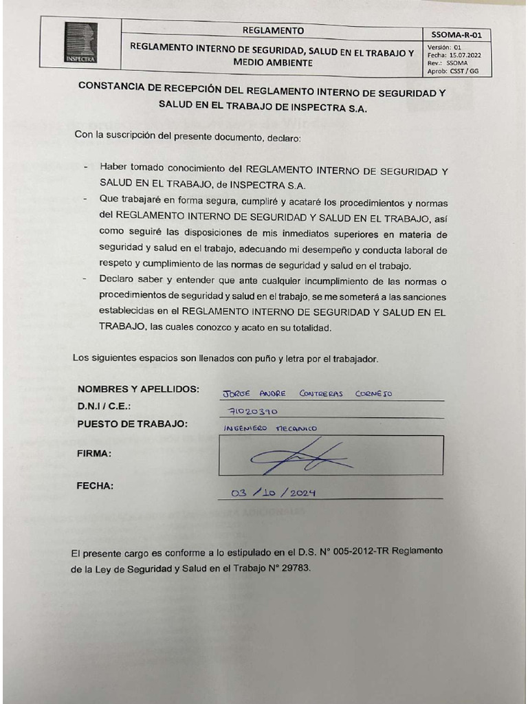 Constancia de Recepción Del Risst | PDF