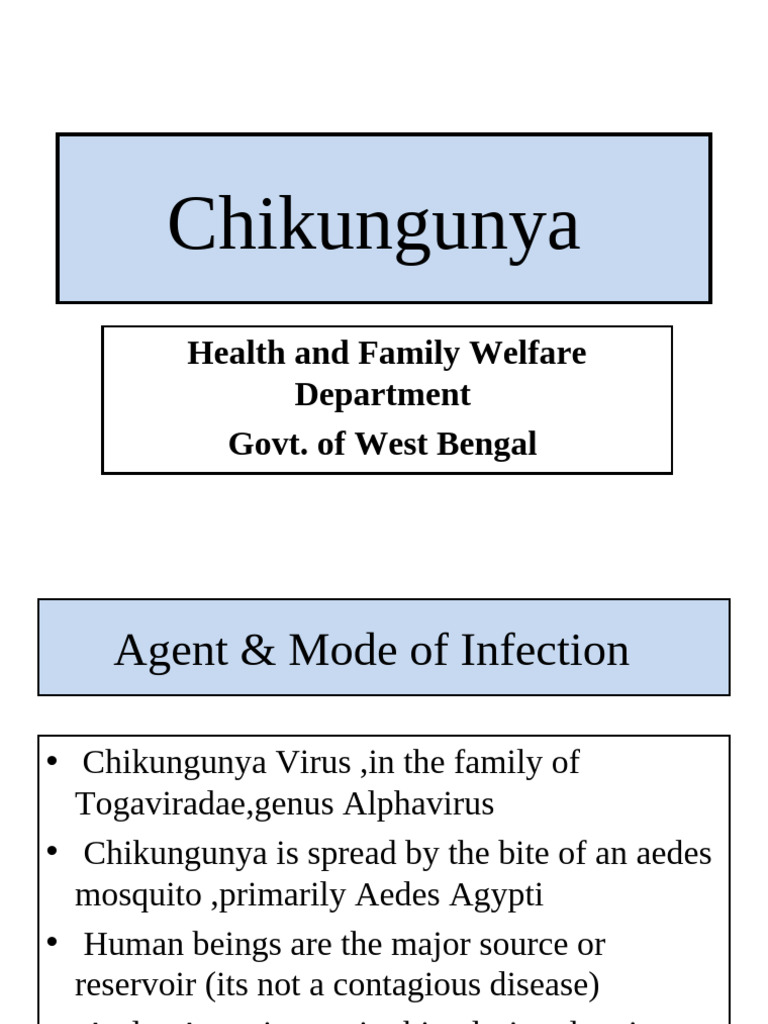 Chi Kun Gunya | PDF | Animal Viral Diseases | Viral Diseases