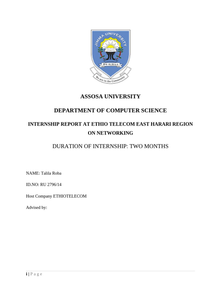 internship program (5) | PDF | Computer Network | Ip Address