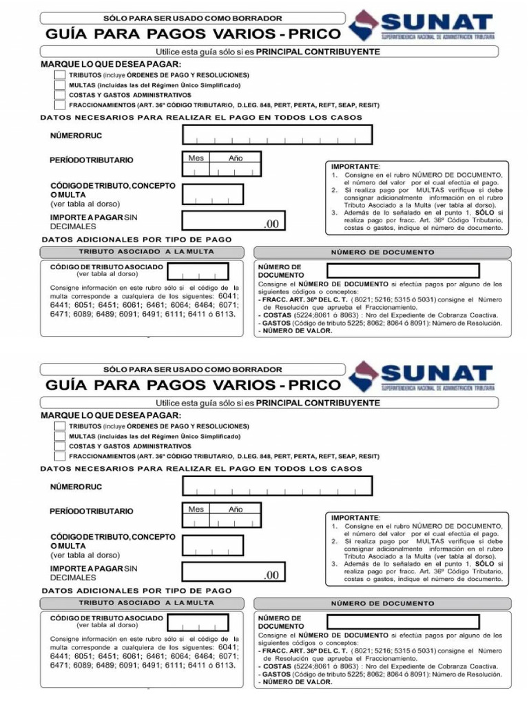 Guia Para Pagos Varios | PDF