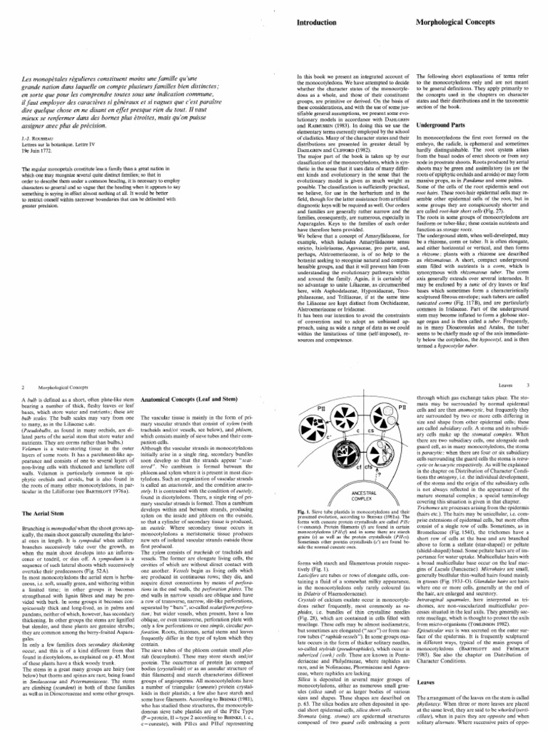 Mono2 | PDF | Leaf | Petal