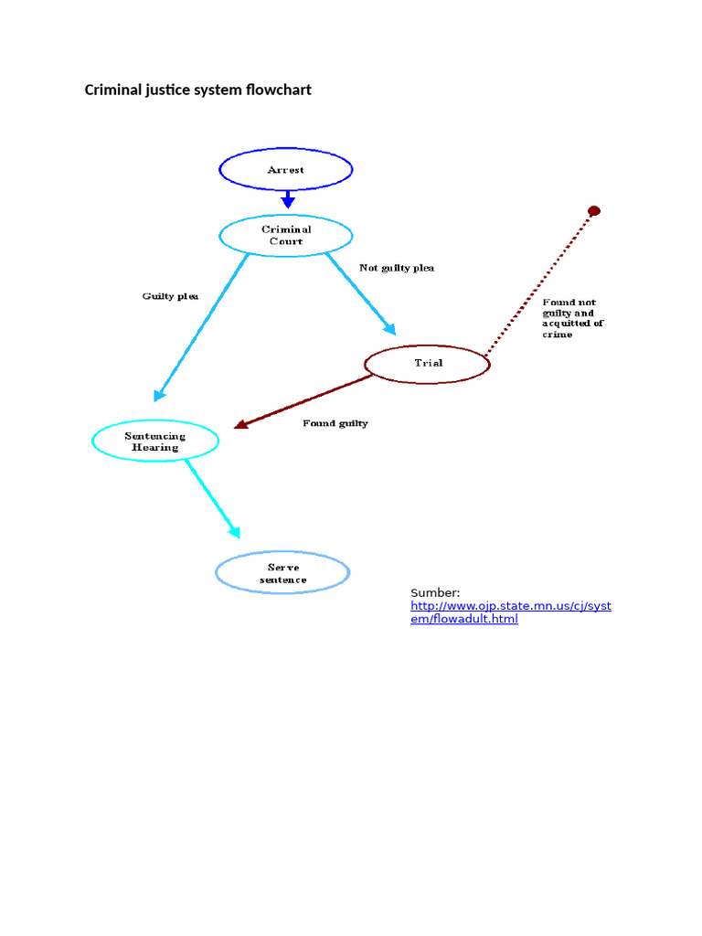 Criminal Justice System Flowchart I | PDF