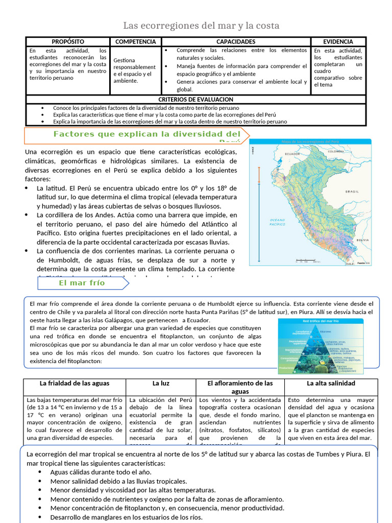 FICHA DE ACTIVIDAD CCSS 3°-Unidad 1 Tema 5 | PDF | Mar | Zona tropical