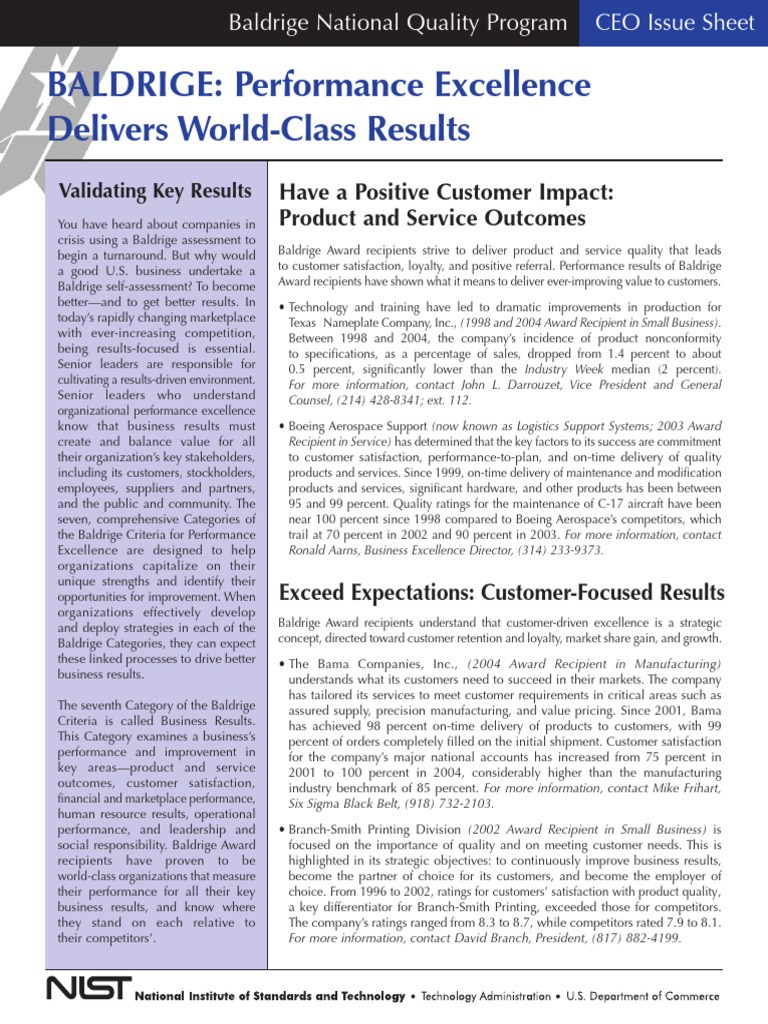 Issue Sheet Excellence | PDF | Customer | Customer Satisfaction
