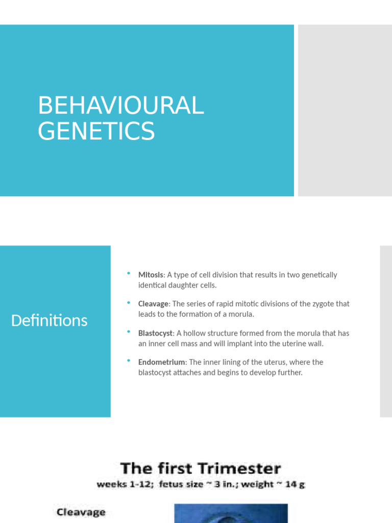 Behavioural Genetics | PDF | Twin | Embryo