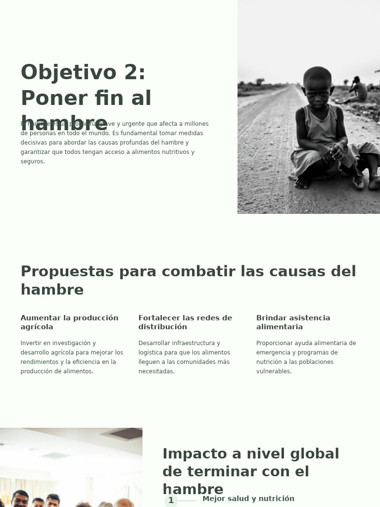 Objetivo 2 Poner Fin Al Hambre Pdf