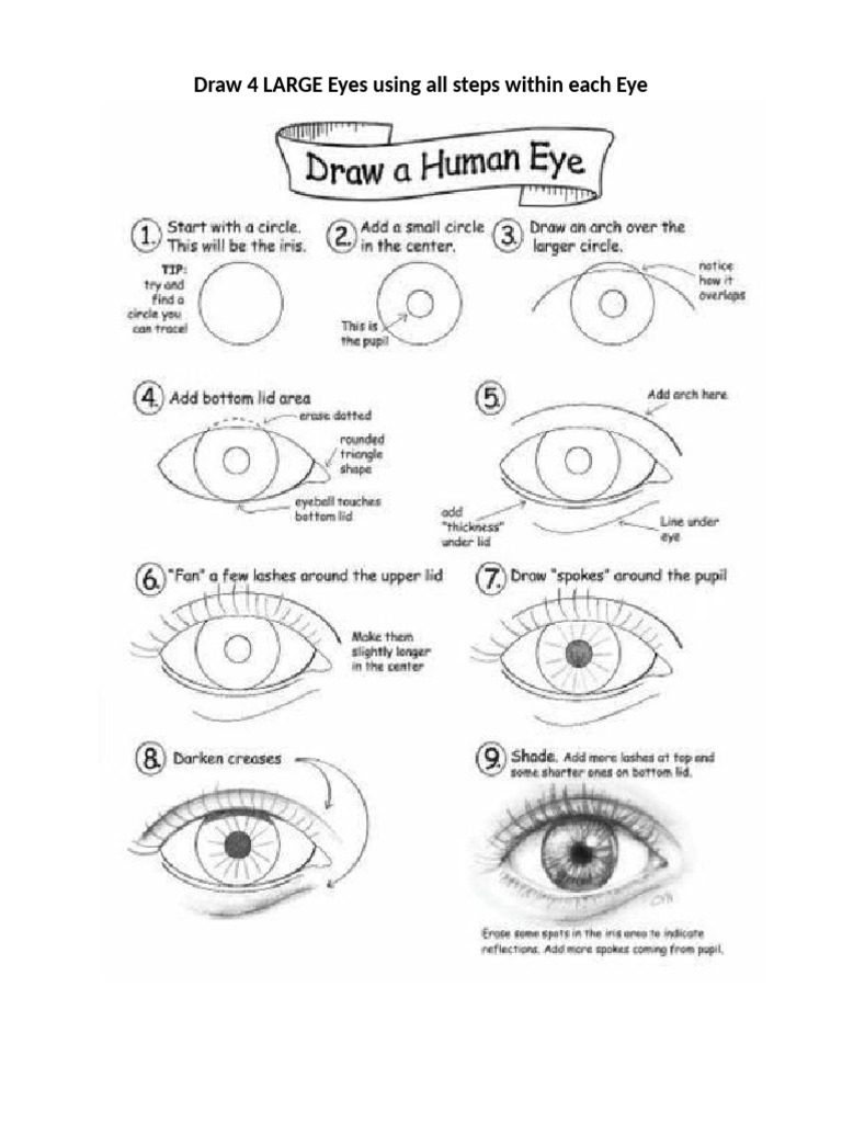 Draw the Human Eye Step by Step | PDF