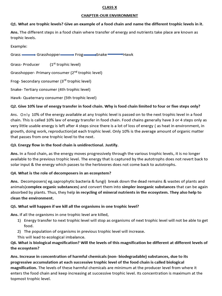 Our Environment Pdf Ecosystem Food Web