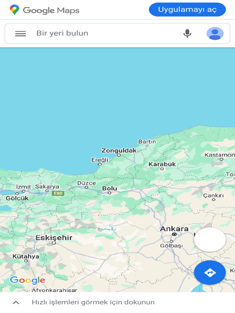 Google Haritalar | PDF