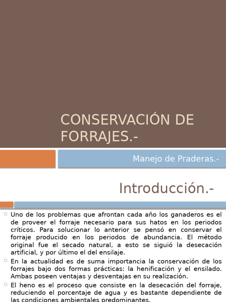 UNIDAD VIII. Conservación de Forrajes | PDF | Pasto