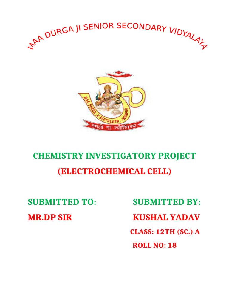 Electrochemical Cell Project | PDF