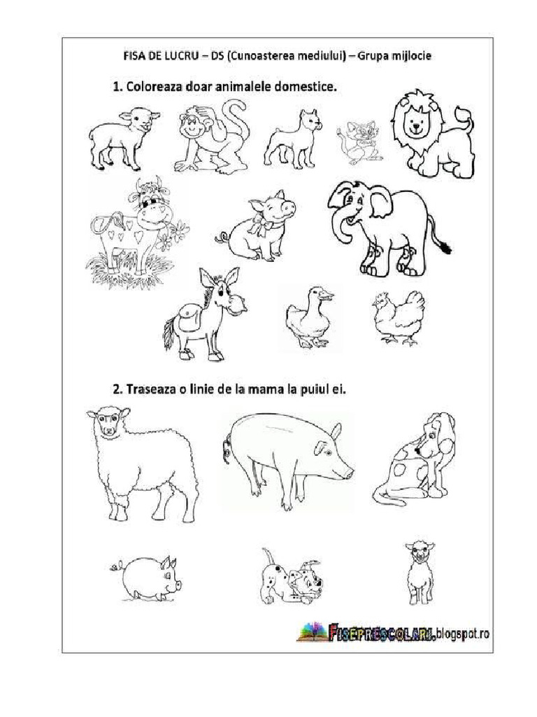 Fise Animale CL 1 | PDF