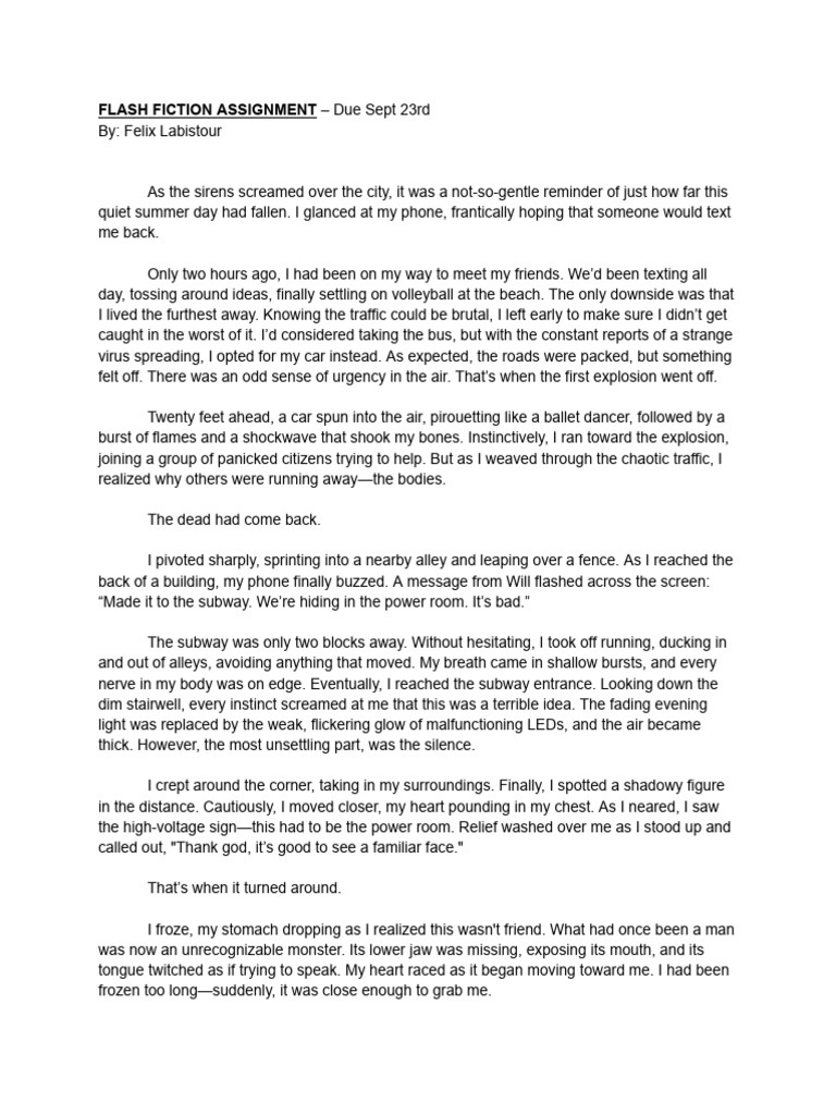 Flash Fiction Assignment | PDF