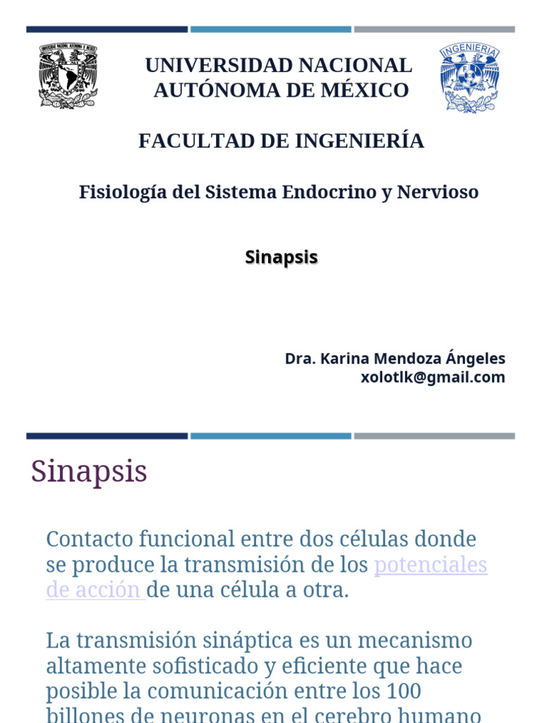 Sinapsis - FI | PDF | Sinapsis | Sinapsis química