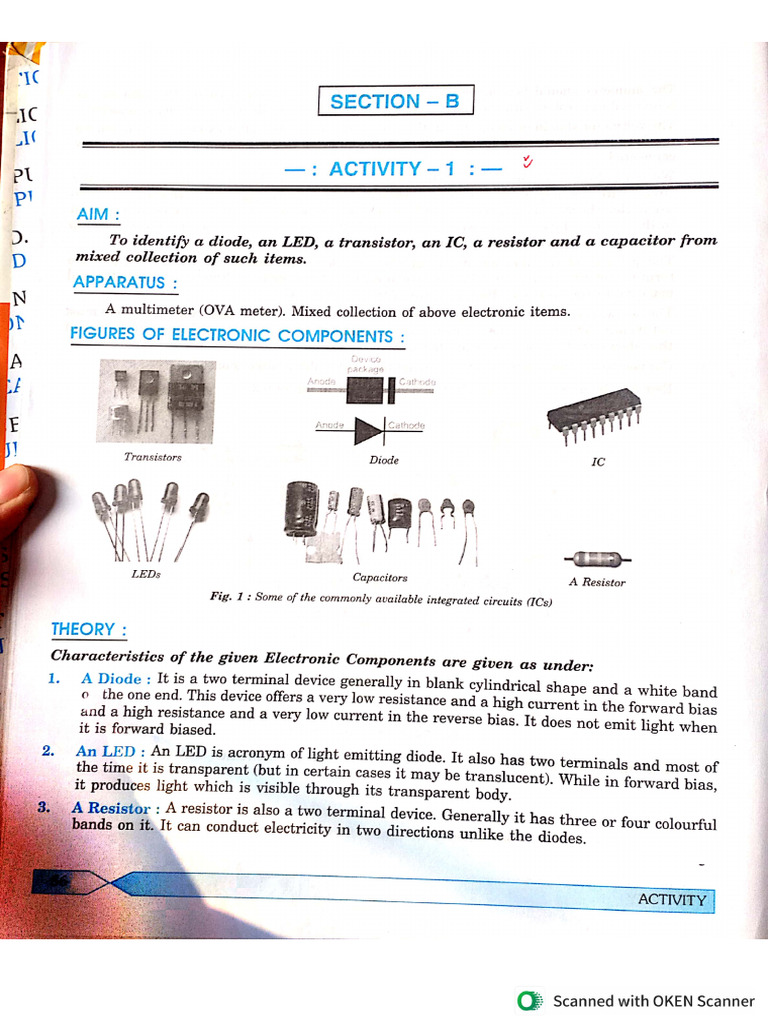 Activity 4 ,5 ,6 of phy | PDF