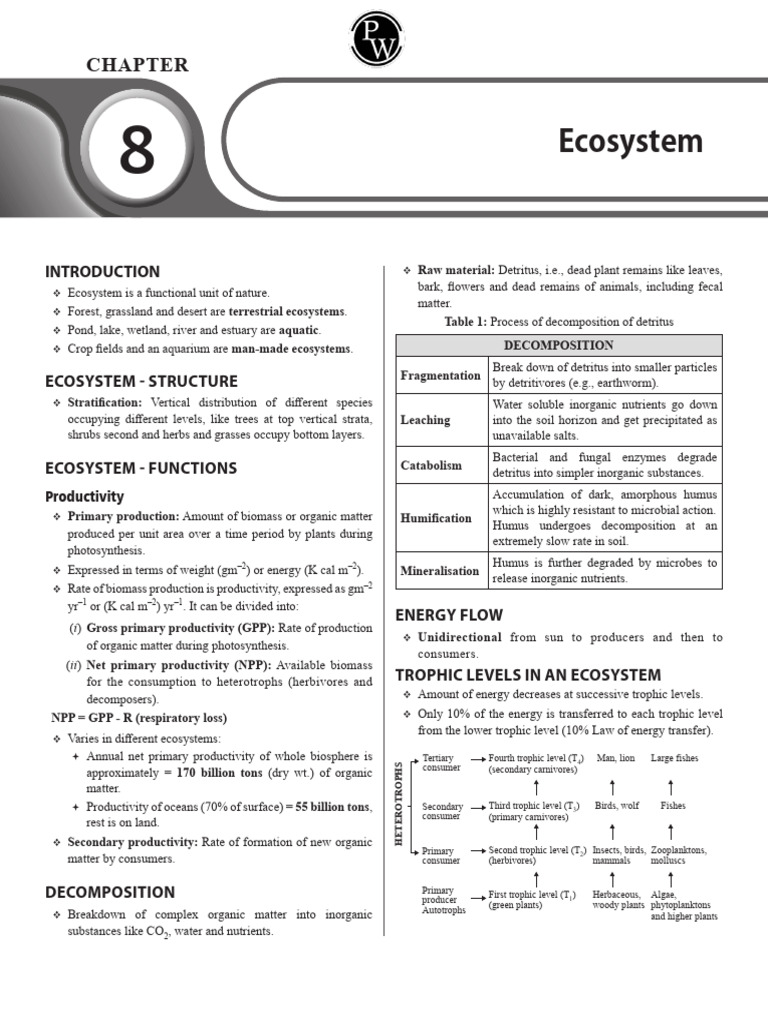 Ecosystem _ Short Notes __ VIJETA SERIES CLASS-12TH | PDF | Food Web ...